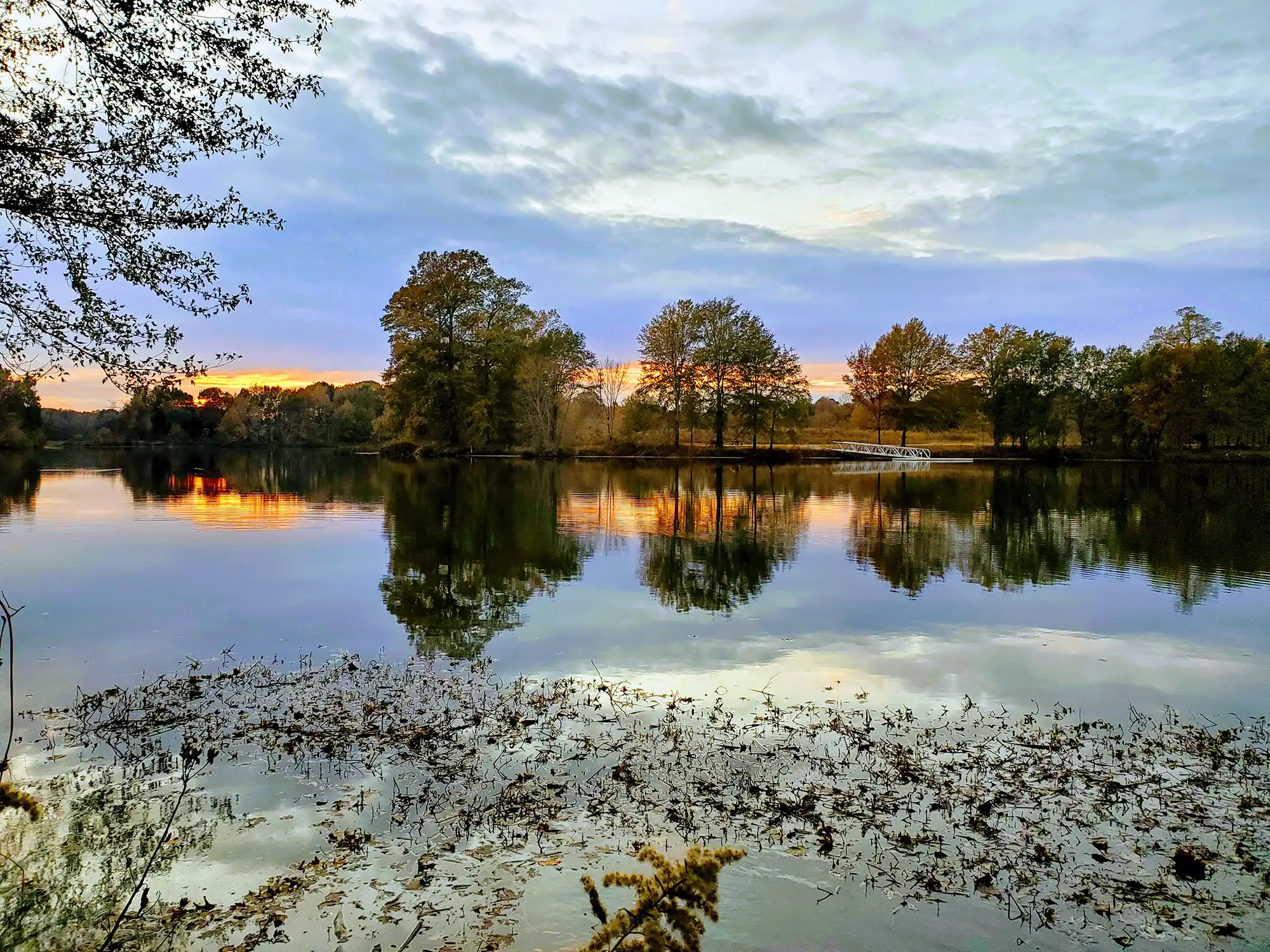 Wolf River Conservancy | Memphis, TN
